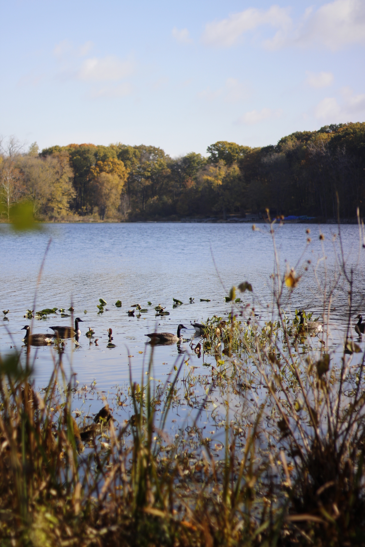 Writing Journal #13? – salisbury.fake